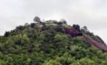 Purnagiri Devi Temple, Uttarakhand - Info, Timings, History, Video 2026